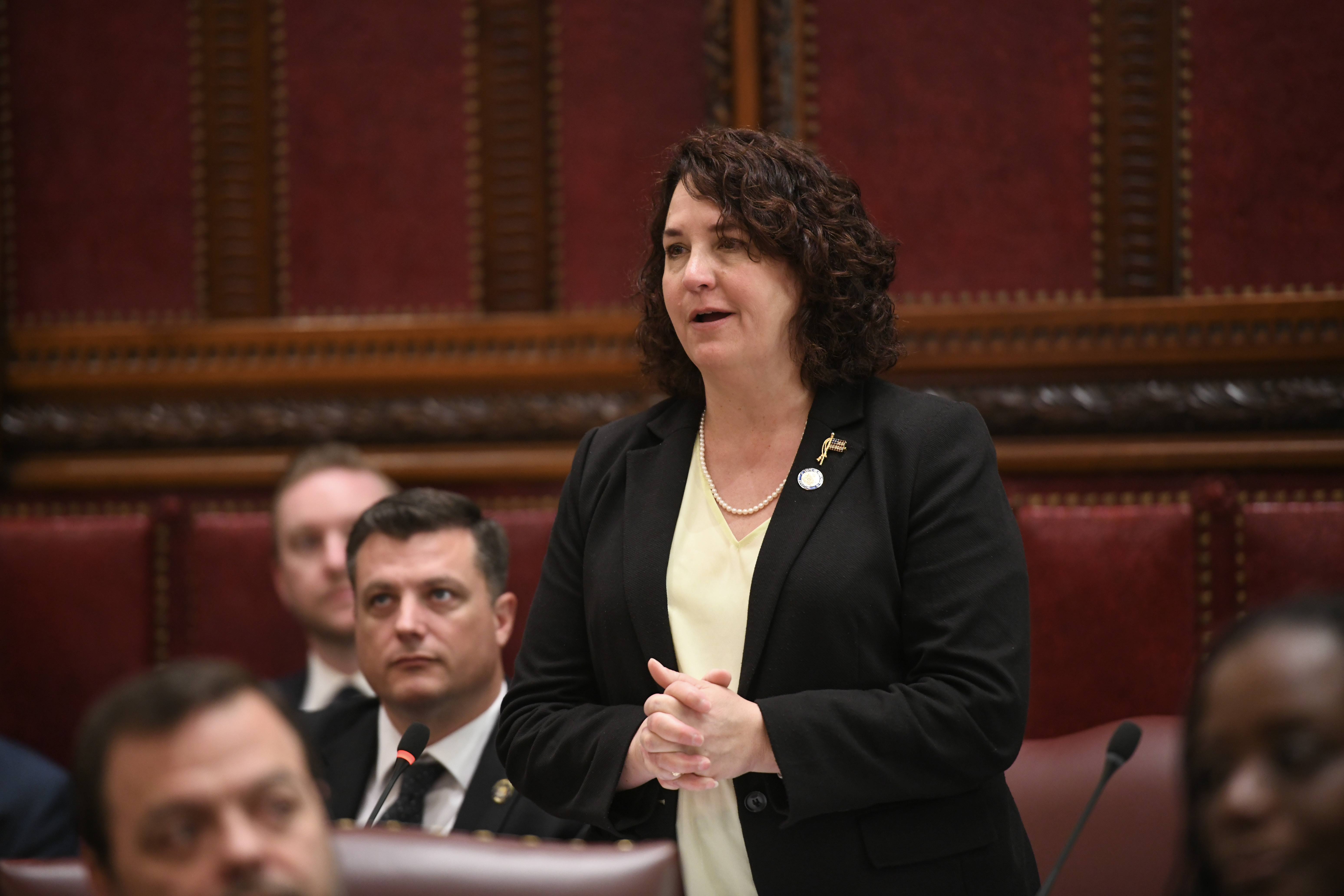 Senator Canzoneri-Fitzpatrick Responds to the Passage of the State ...