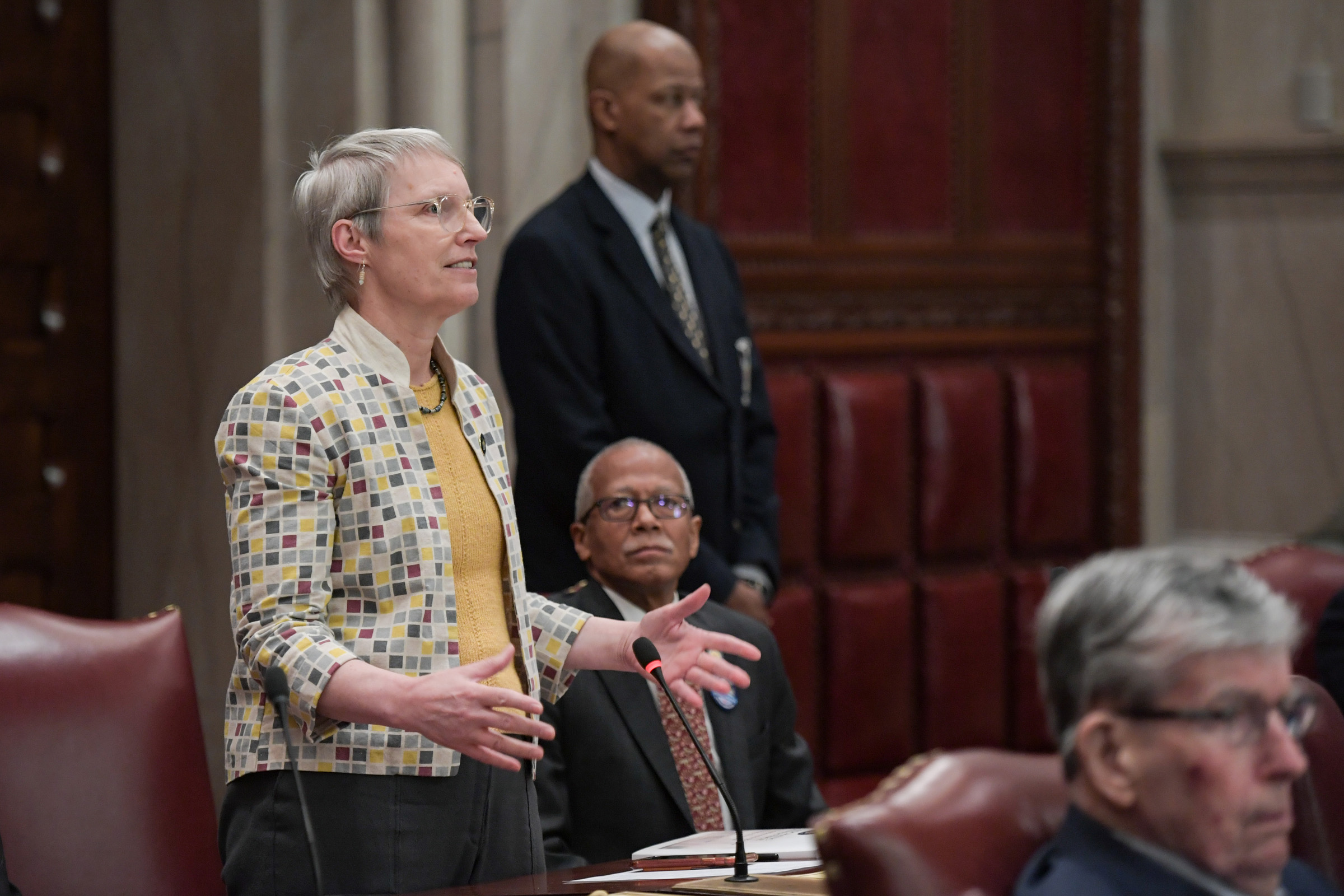 Senator Rachel May Advances Two Bills through Senate | NYSenate.gov