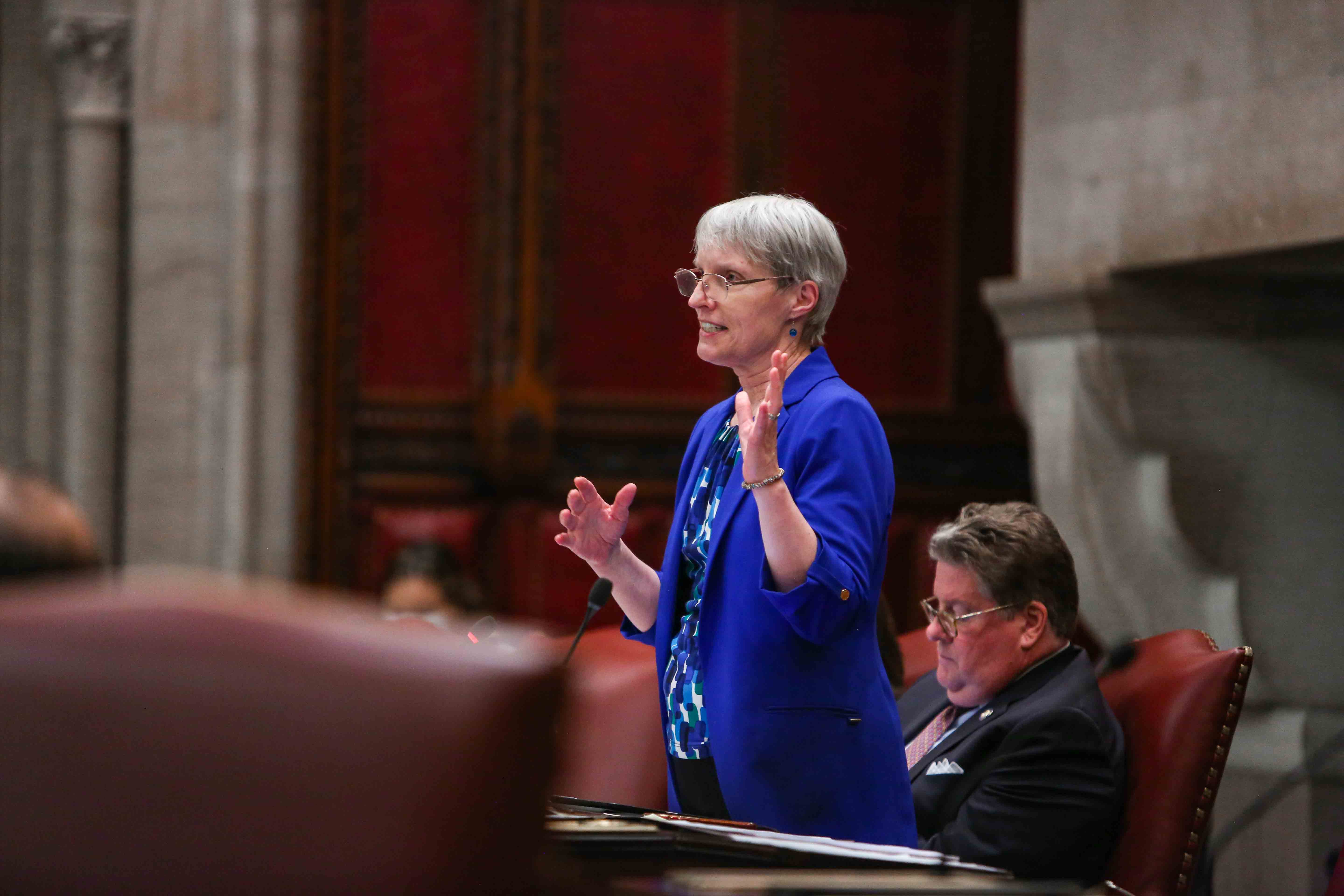 Senator Rachel May Advanced Several Significant Bills Through State ...