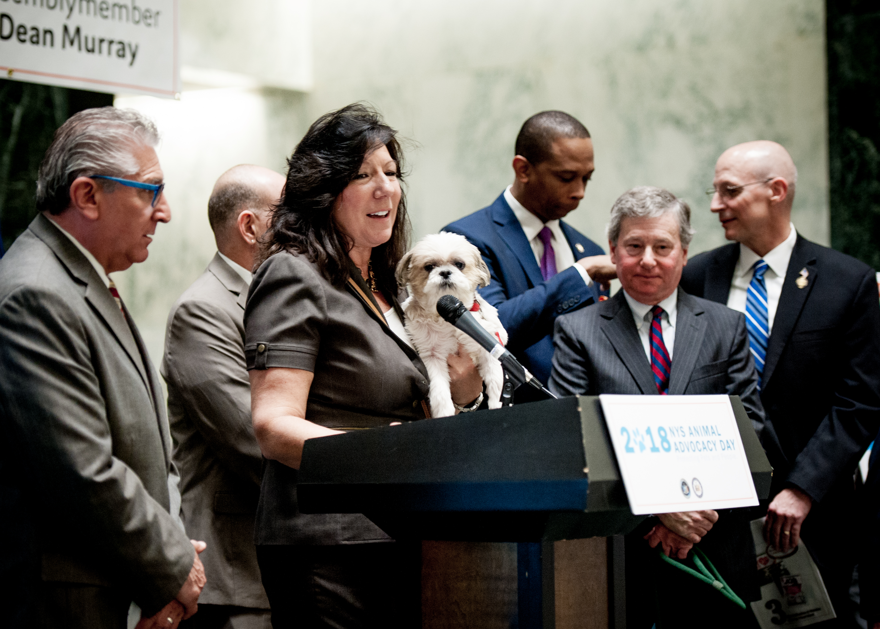 SENATE PASSES PACKAGE OF ANIMAL PROTECTION MEASURES | NYSenate.gov