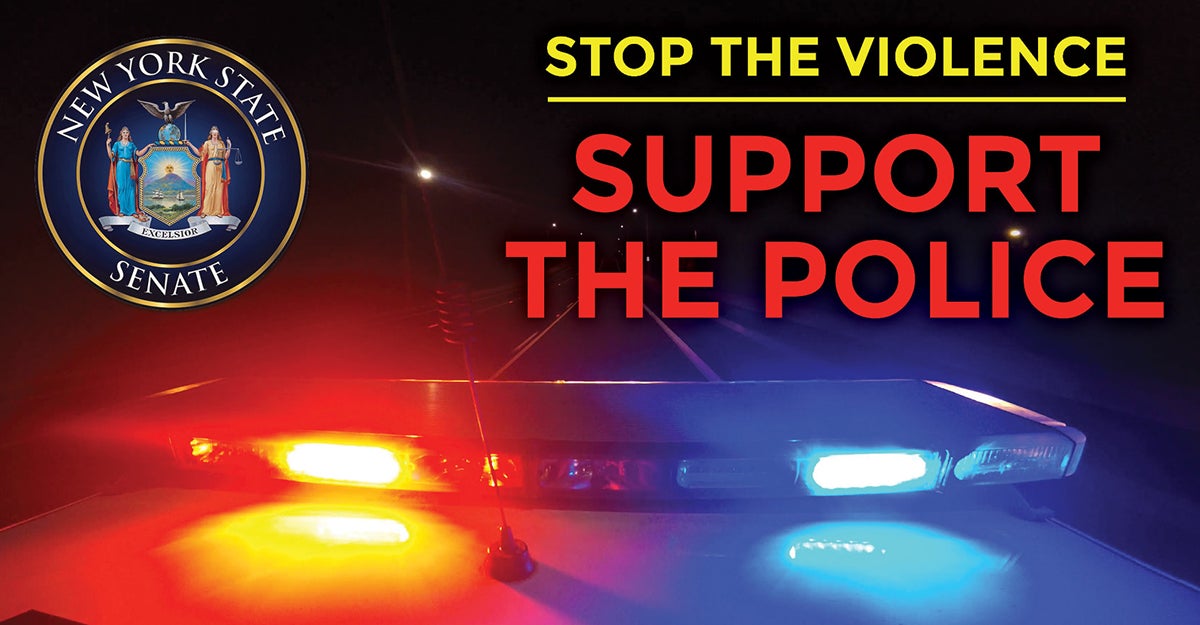 Seward Joins Call for 'Protect Those Who Protect Us' Package | NYSenate.gov