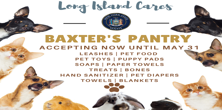 Senator Mattera And Long Island Cares Join Together To Help Protect ...