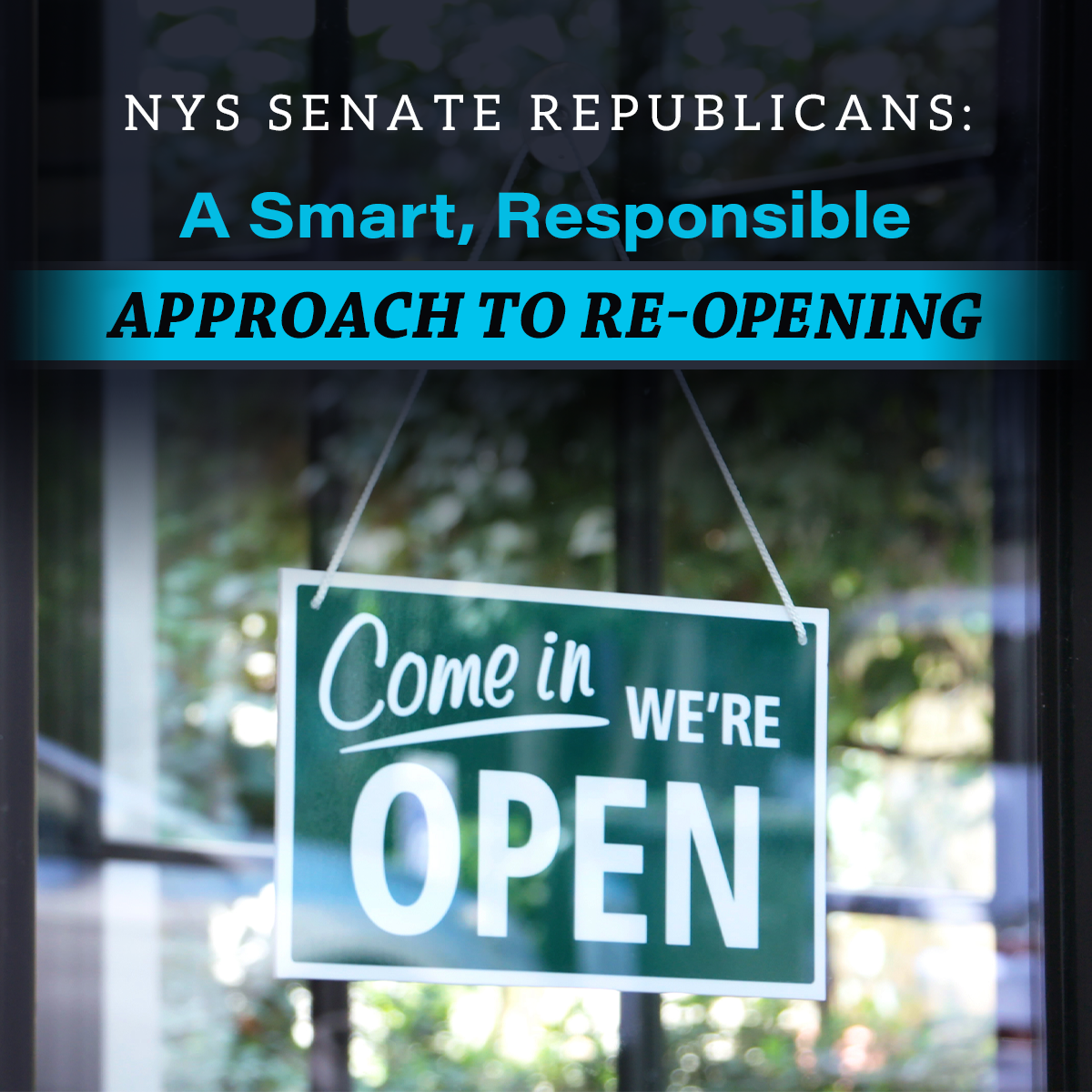 Senator Daphne Jordan and NYS Senate Republican Conference call for ...