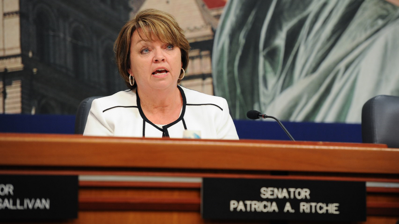 Ritchie Named to Key Senate Leadership and Committee Roles | NYSenate.gov