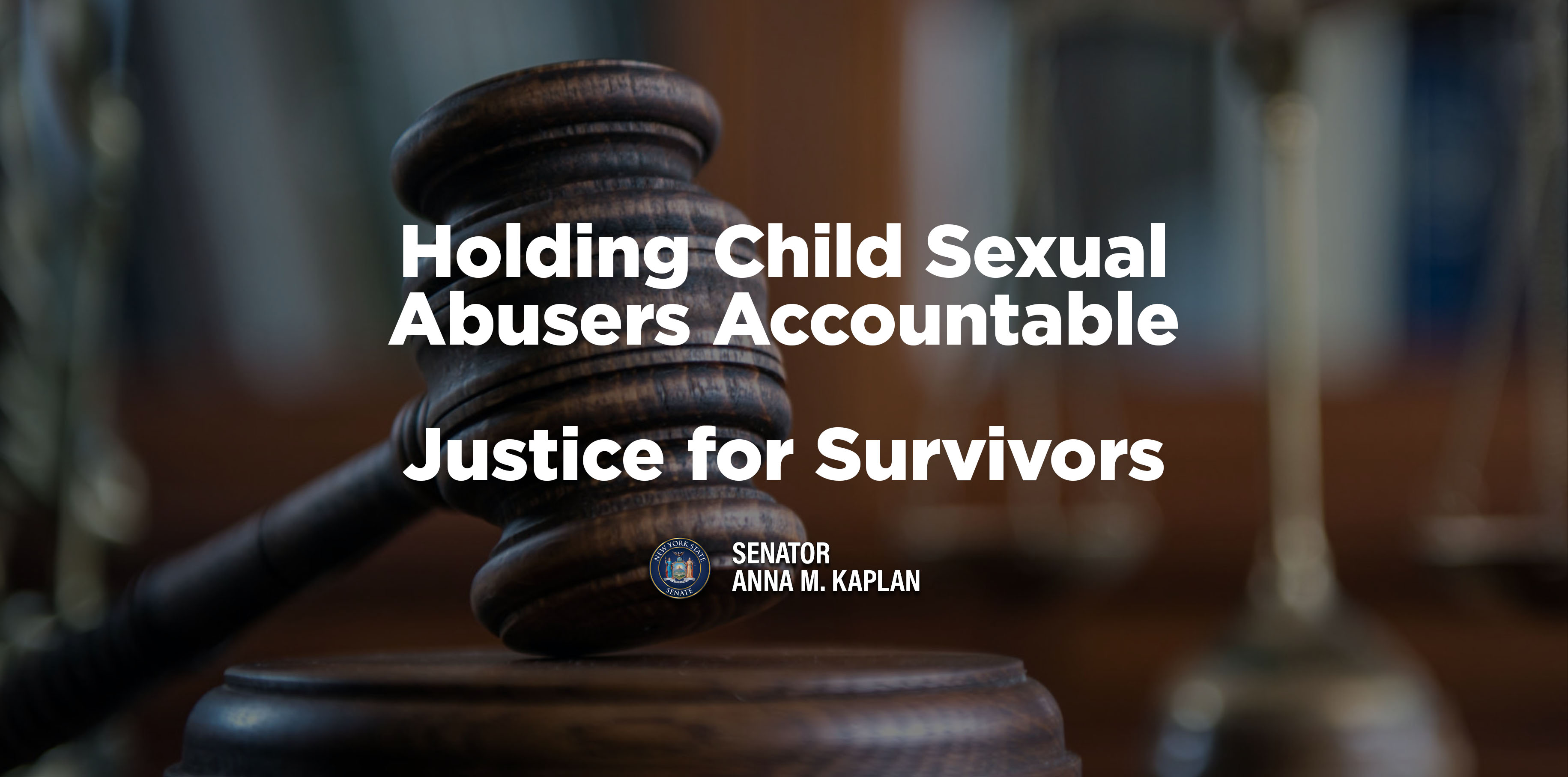 Senator Kaplan Applauds Child Victims Act Extension, Urges Survivors ...