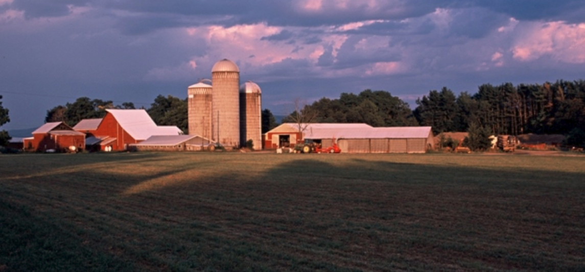 Statement From Senator Patty Ritchie | NYSenate.gov