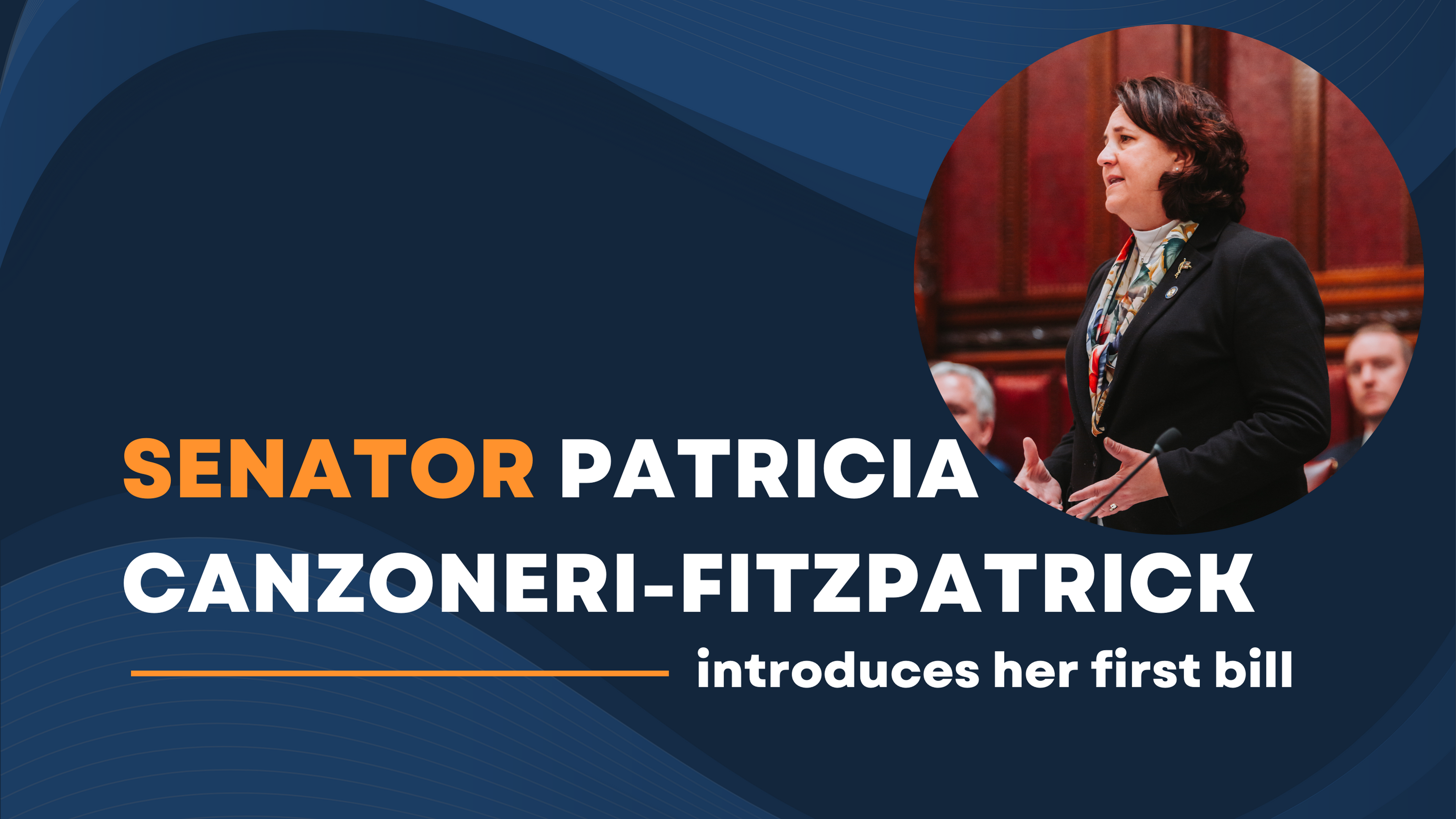 Senator Canzoneri-Fitzpatrick Unveils Legislation to Allow Judges to ...