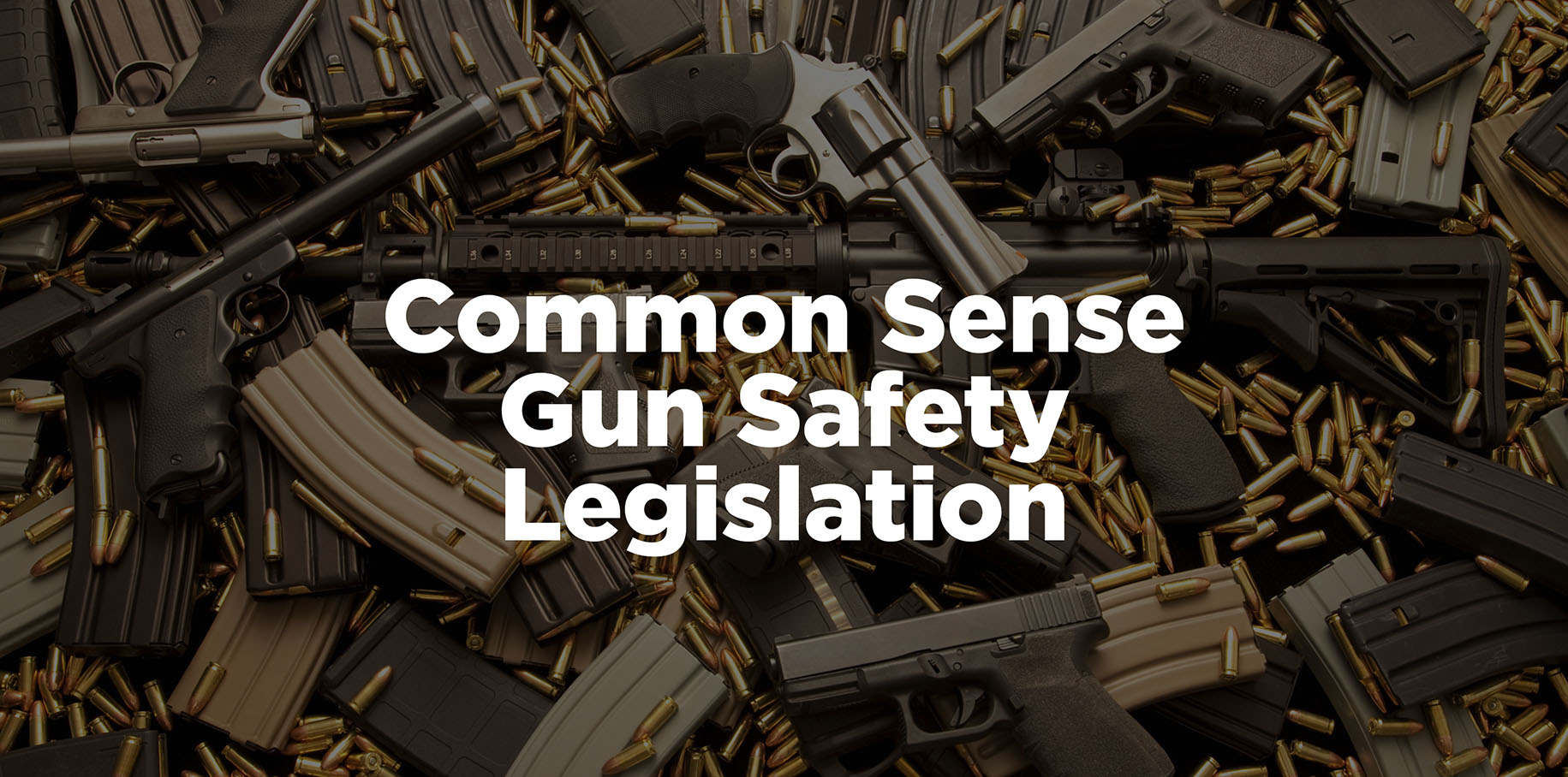 Kaplan Bill Closing Loophole in Gun License Background Check Process ...