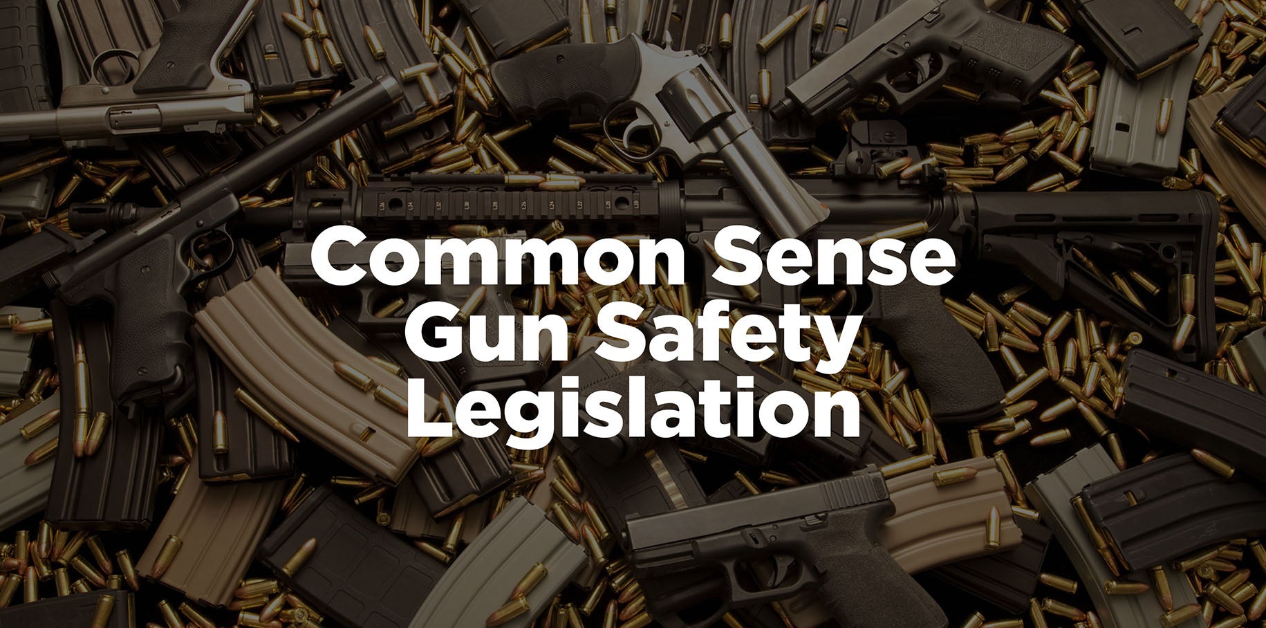 Senator Anna Kaplan and Assemblymember Charles Lavine Introduce New Gun ...