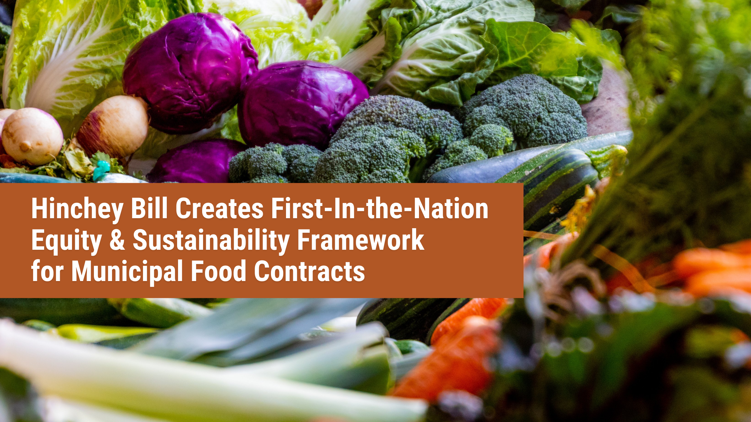Senator Michelle Hinchey Bill Creates First-In-the-Nation Equity and ...