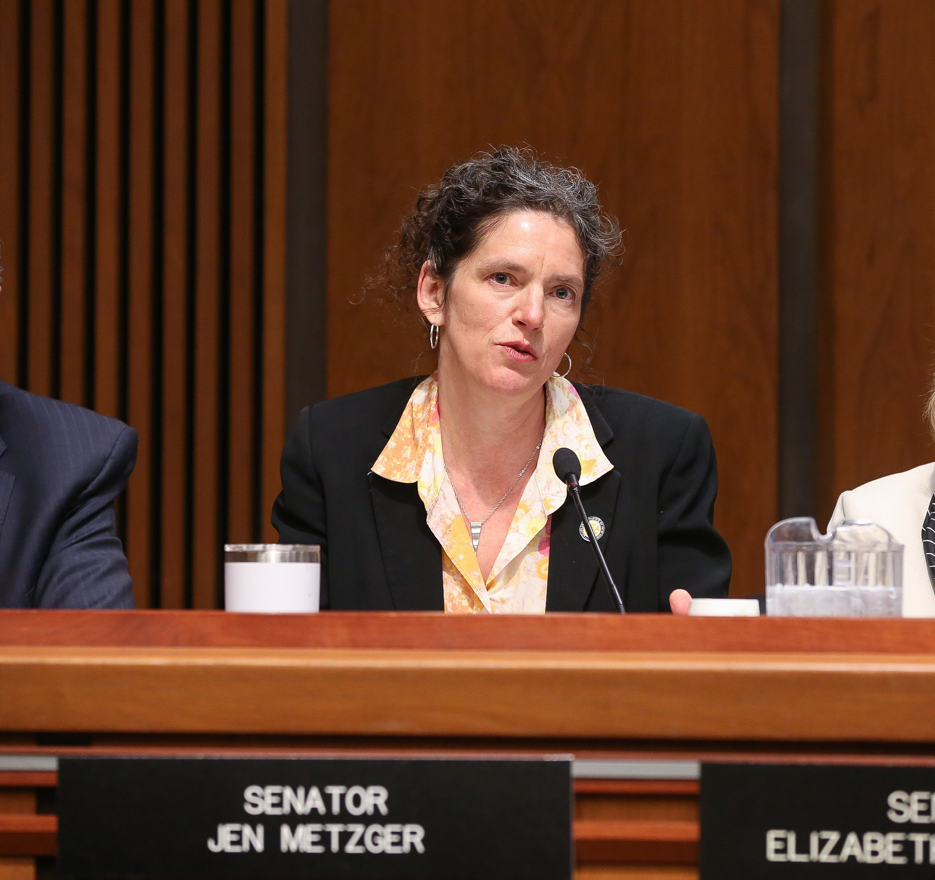 Senator Metzger Highlights a New Era of Public Involvement in State ...