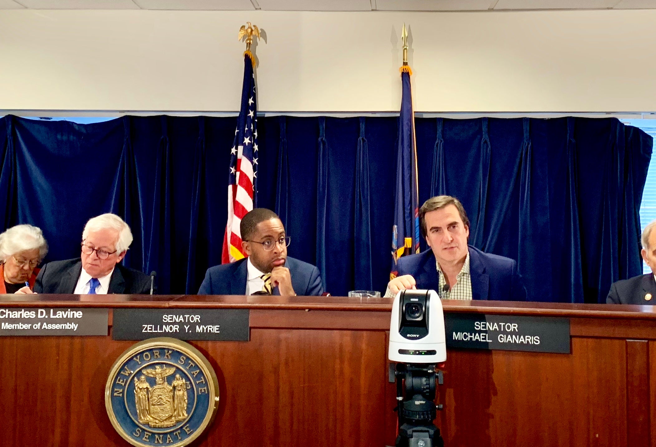 At Legislature's Early Voting Hearing, Senate Deputy Leader Gianaris Pushes State, City Boards ...