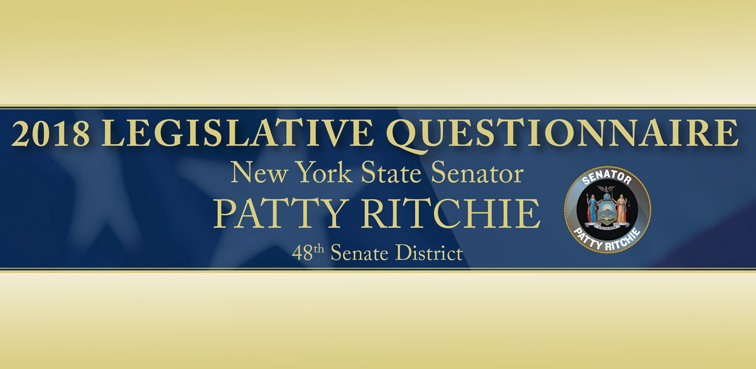 Senator Ritchie Releases Results of 2018 Legislative Survey | NYSenate.gov