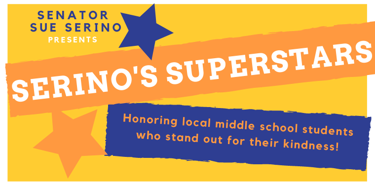 Meet the 2020 Serino Superstars! | NYSenate.gov