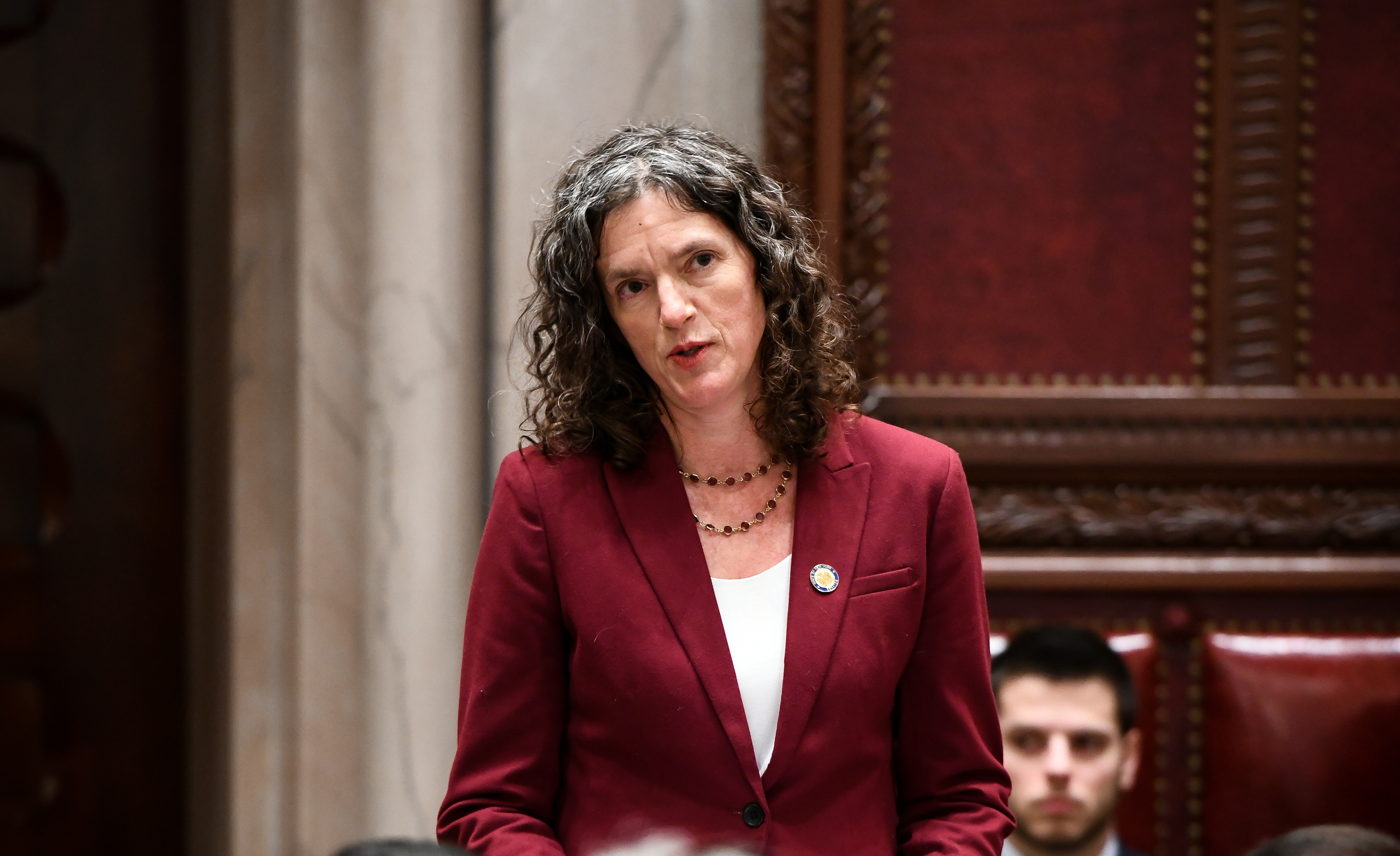 Metzger’s Bill Requiring a Higher Level of Review for CPV Permit Passes ...