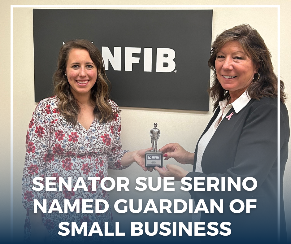 SERINO NAMED ‘2022 GUARDIAN OF SMALL BUSINESS’ | NYSenate.gov