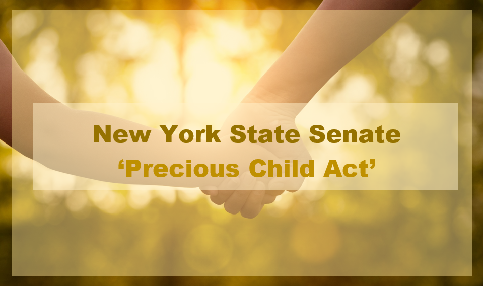 Senate Passes 'Precious Child Act' | NYSenate.gov