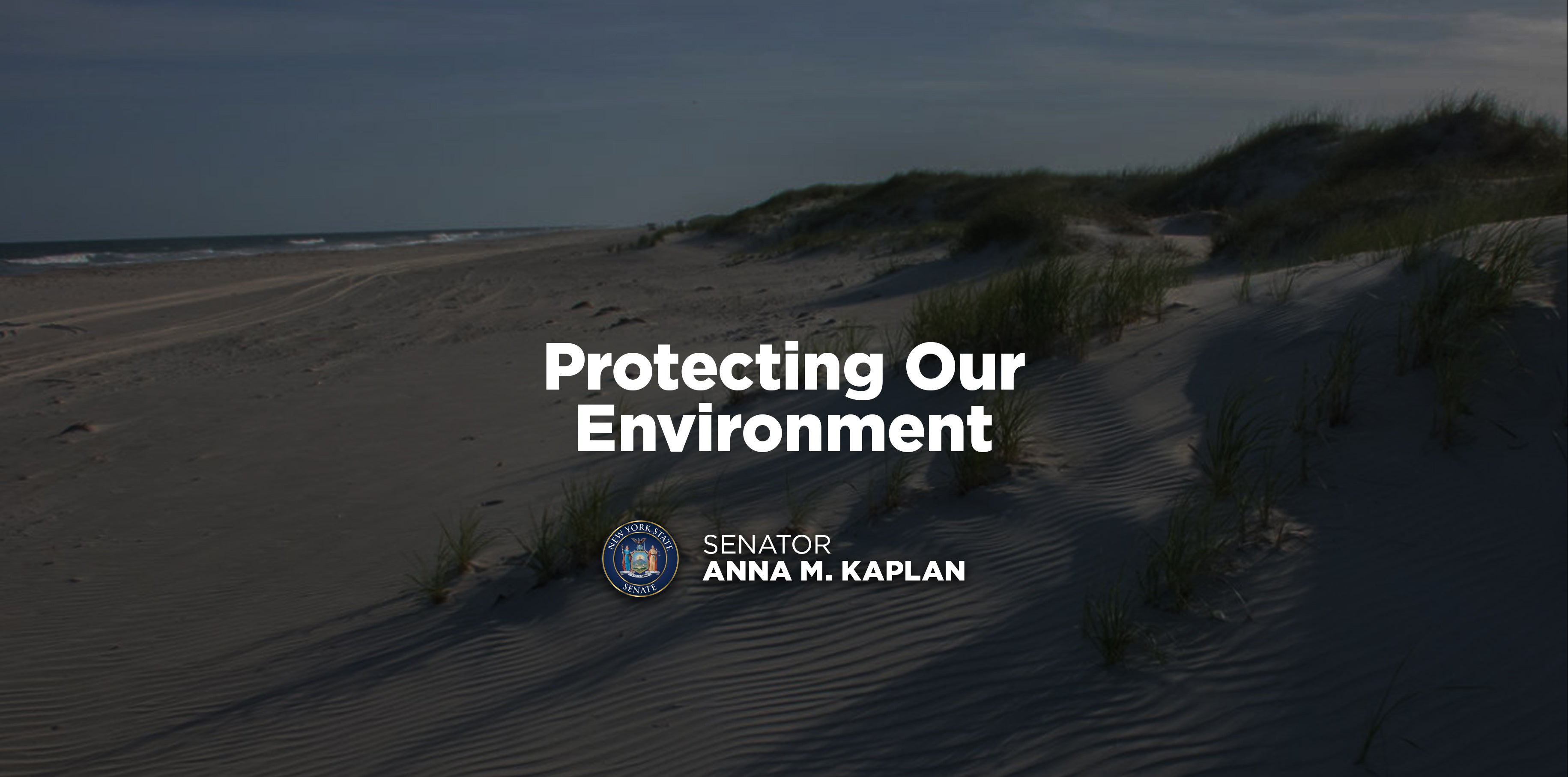 The "Make New York EV Ready" Bill Promoting the Development of New ...