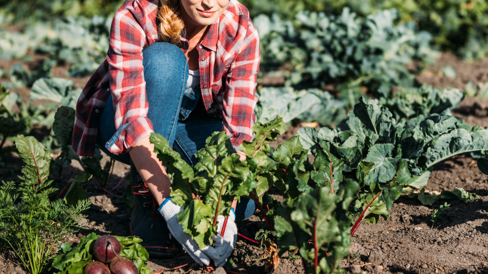 Hinchey Bill to Expand Student Loan Forgiveness for Young Farmers ...