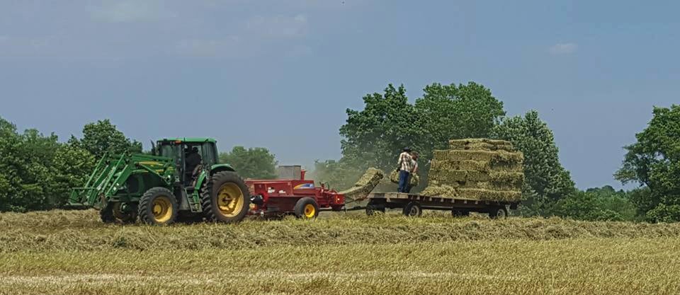 Senator James Sanders Jr. Passes Legislation To Create Task Force on ...