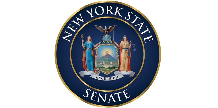Senator Elijah Reichlin-Melnick Introduces First 10 Bills in the NYS ...