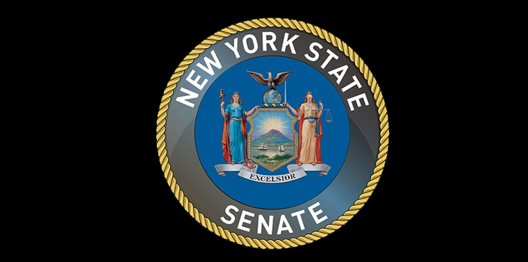 Statement from Senator Mike Martucci | NYSenate.gov