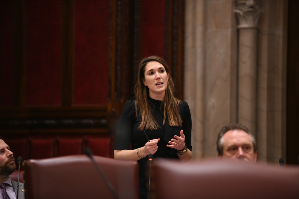 Senator Michelle Hinchey Announces Largest-Ever State Budget Investment ...