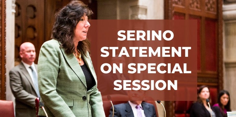 SERINO STATEMENT ON SPECIAL SESSION | NYSenate.gov