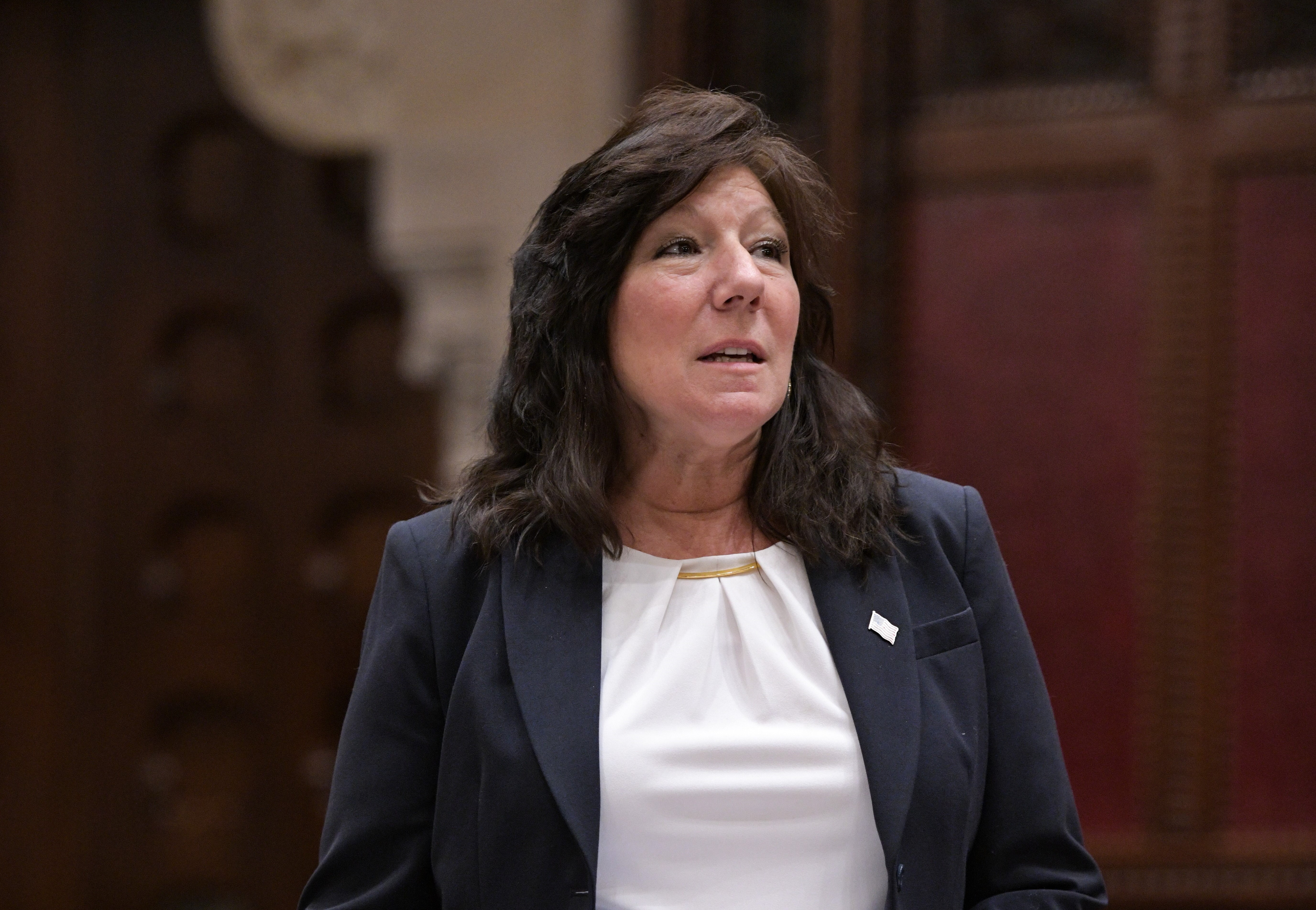 SERINO STATEMENT ON SPECIAL SESSION | NYSenate.gov