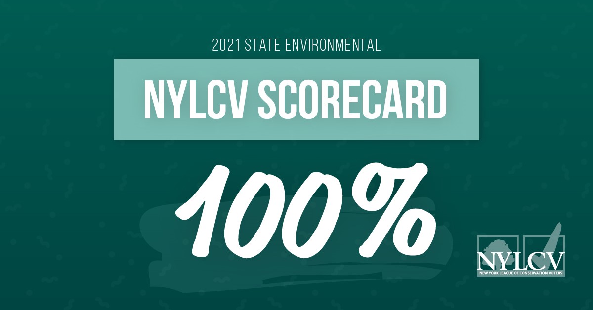 Senator Toby Ann Stavisky Receives a Perfect Score from the Non ...