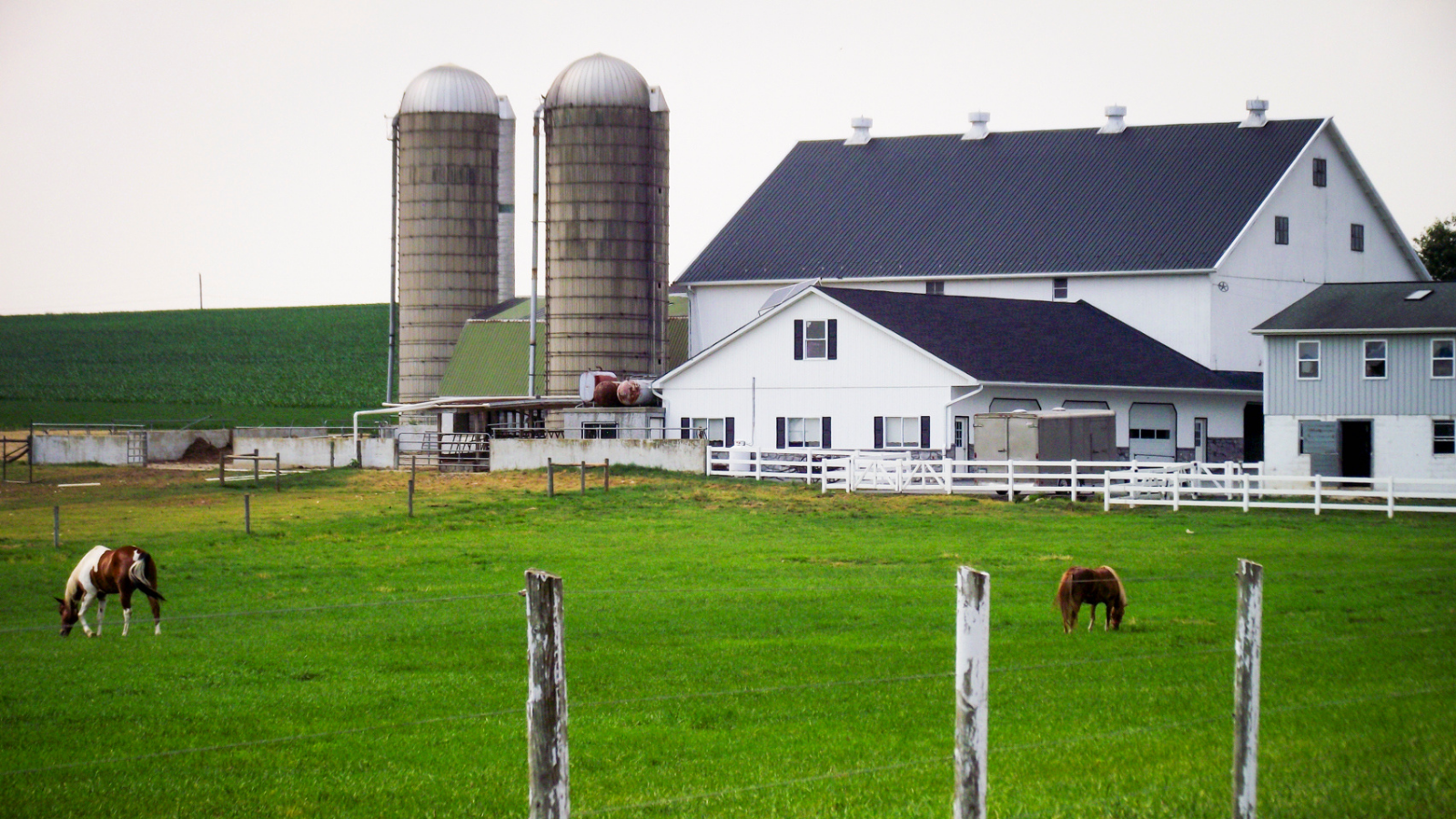 Senator Hinchey and Senate Ag Committee Move Bills to Strengthen the ...