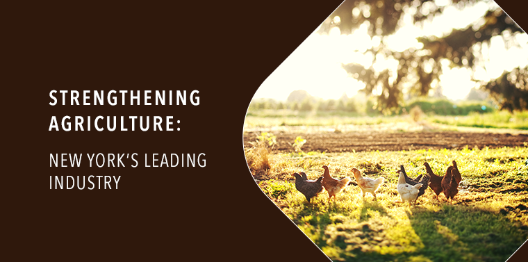 Agriculture Programs Get Major Investment | NYSenate.gov
