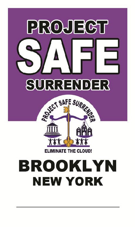 Fall Safe Surrender Project 2013 | NYSenate.gov